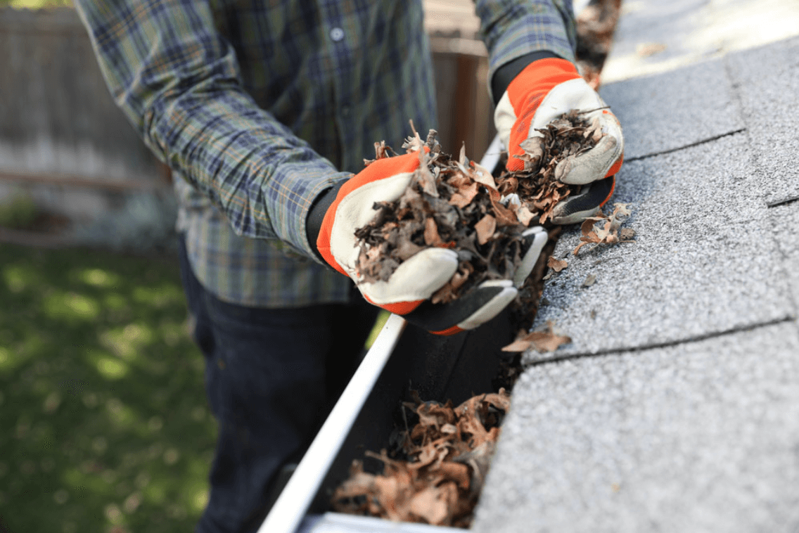 Why Gutter Protection Is a Smart, Affordable Investment for Homeowners ...